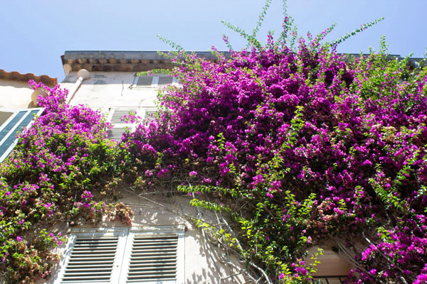 A Week of Sailing the French Riviera - Sail Connections